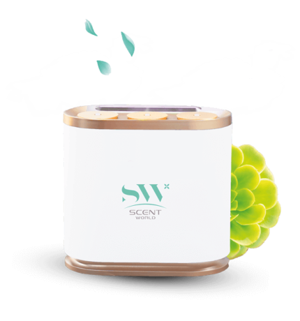 Malls & Shopping Places - Scent World